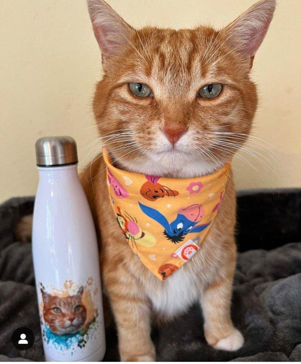 Reusable Water Bottle | Cat Lover Photo Gift | Gift Idea – Boho Photo